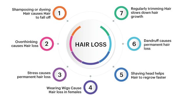 Hair Loss In Women: Causes, Types, Treatment, and Solution