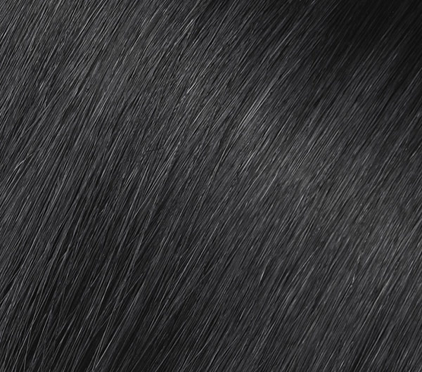 Couleurs de cheveux 1B et 2 – En quoi sont-elles différentes et ...