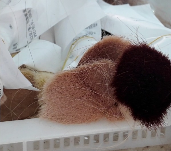 Where Do Hair Extensions Come From? | How Hair Extensions Are Made?