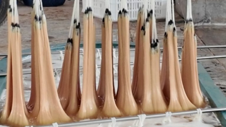 Where Do Hair Extensions Come From? | How Hair Extensions Are Made?